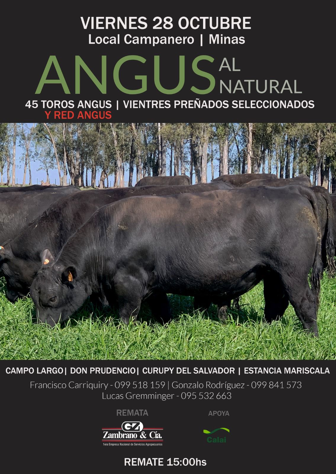 Angus Al Natural | Zambrano & Cía